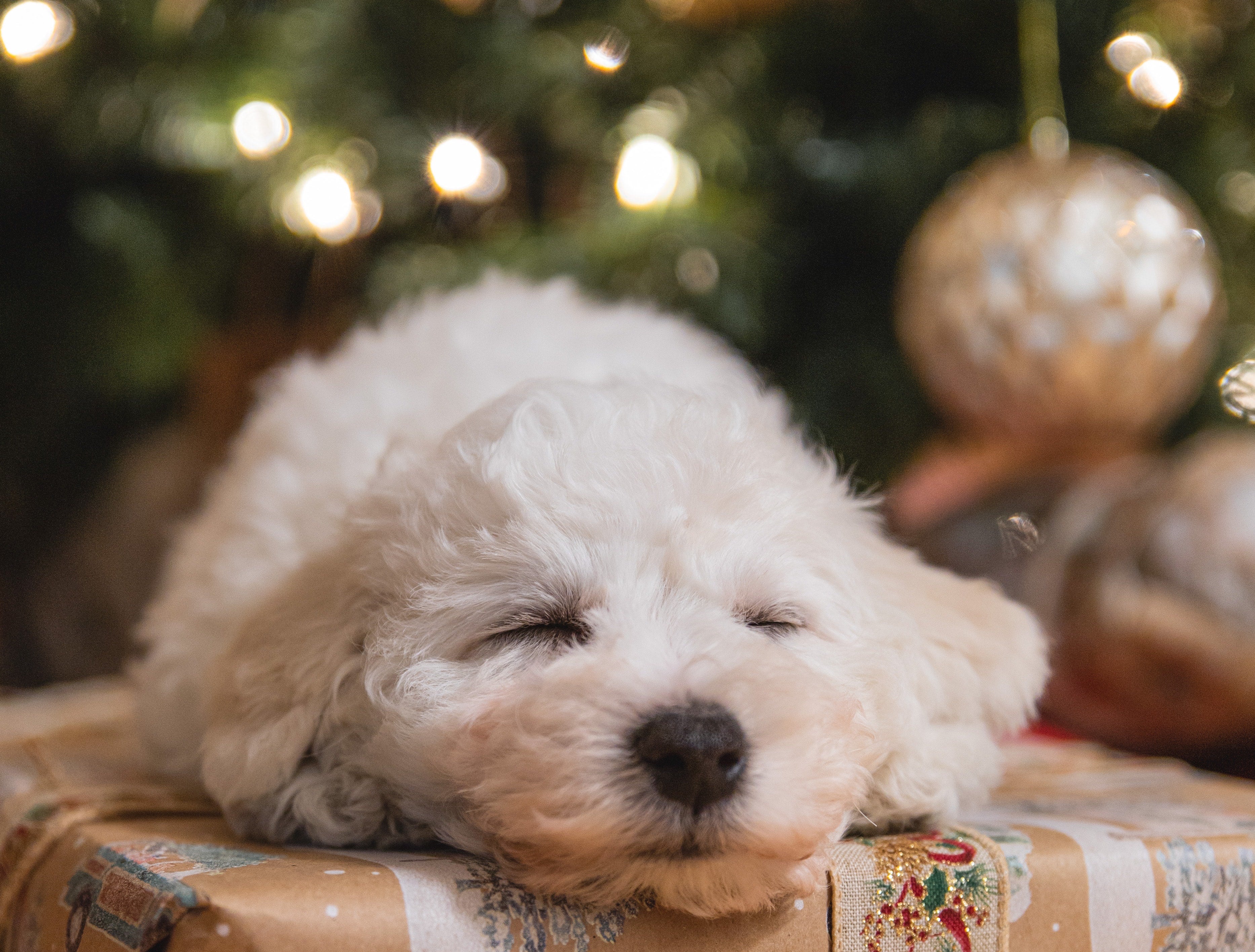 How To Breathe Yourself Calm This Festive Season – Nicola Laye